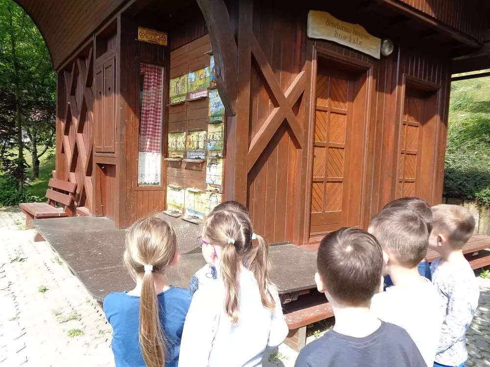 20. maj - Svetovni dan čebel | Vrtec Vodmat - Radi vedno radovedni