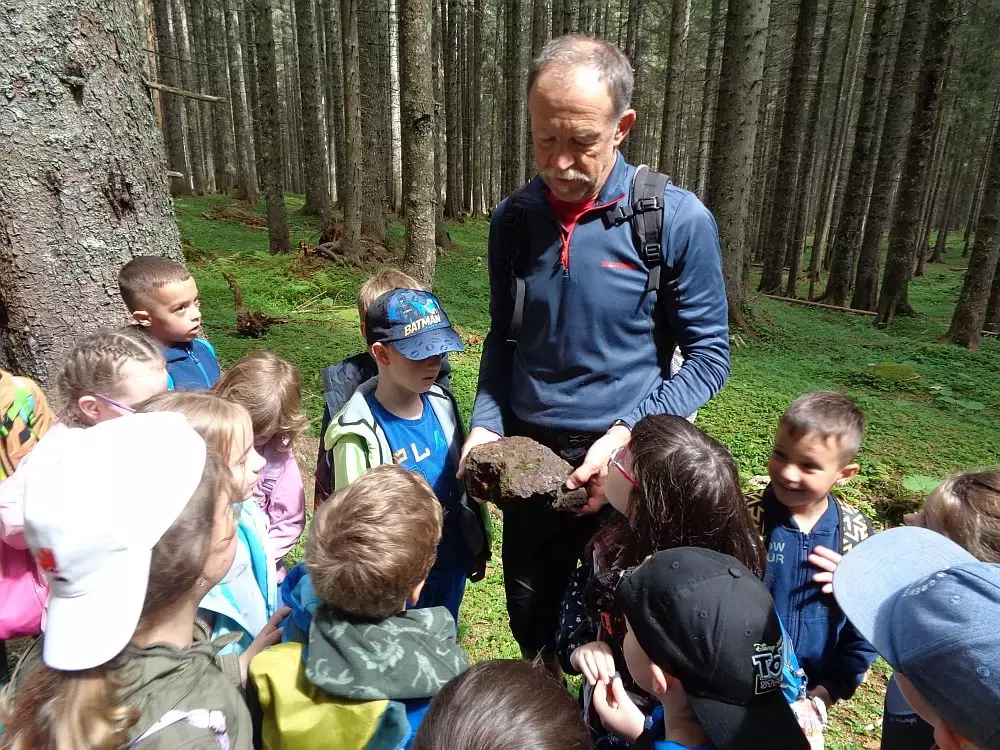 Pokljuka - domovanje pokljuških škratov | Vrtec Vodmat - Radi vedno ...